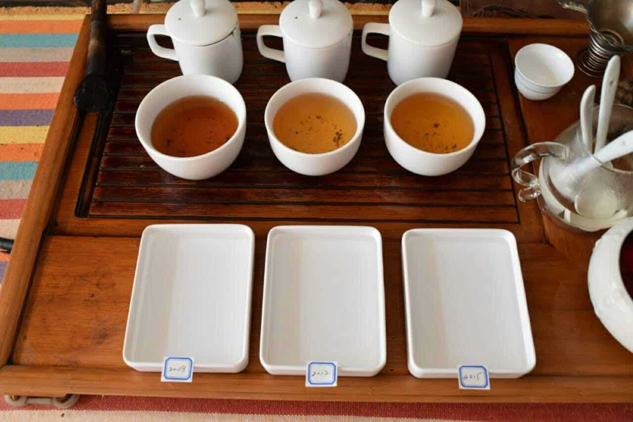 Tea Tasting - Experience An Epic Tea Tasting with Zhen & Jianli - ZhenTea